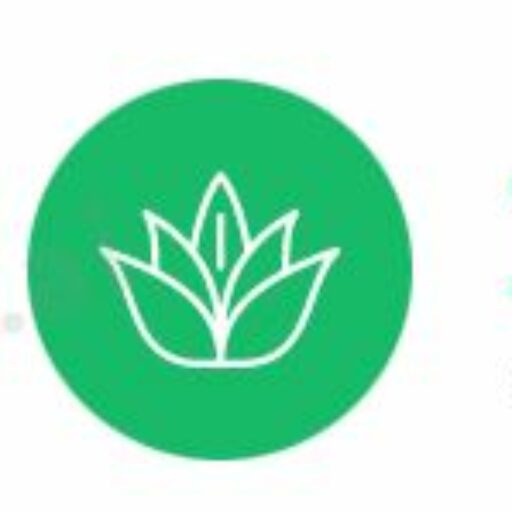 Elaboración casera de aceite de aloe vera
